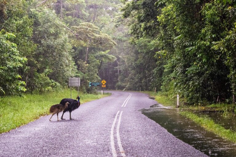 When Is Winter in Australia? (Your Complete Guide) - https ...